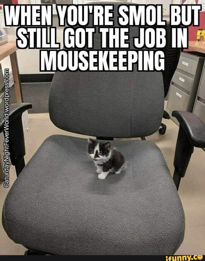 Wordpress memes. Best Collection of funny Wordpress pictures on iFunny