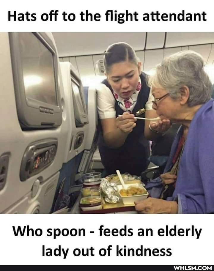 Icarus @Peacharu_ Today I learned that Tigers cannot purr. To show ...