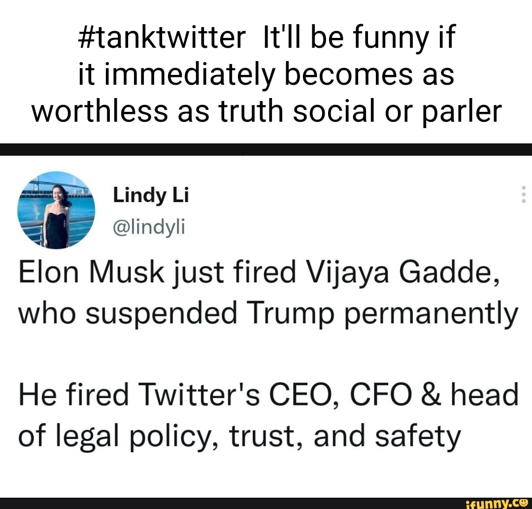 Lindy memes. Best Collection of funny Lindy pictures on iFunny