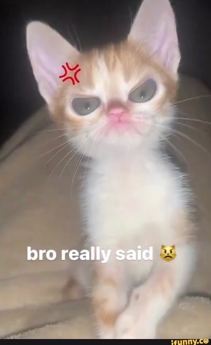 Bro really said - iFunny