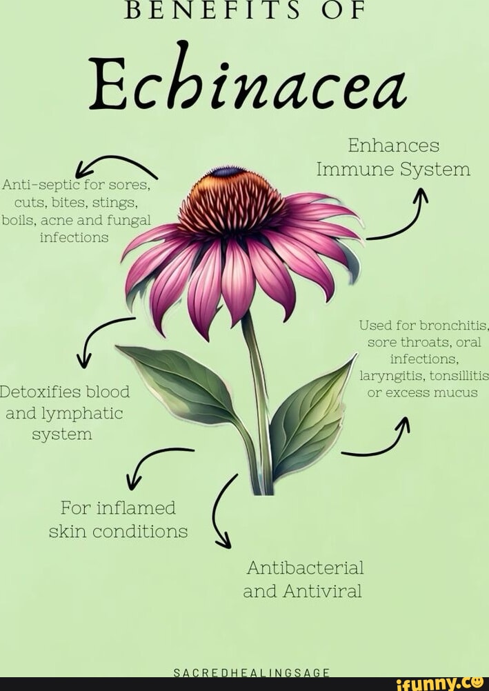 Laryngitis memes. Best Collection of funny Laryngitis pictures on iFunny