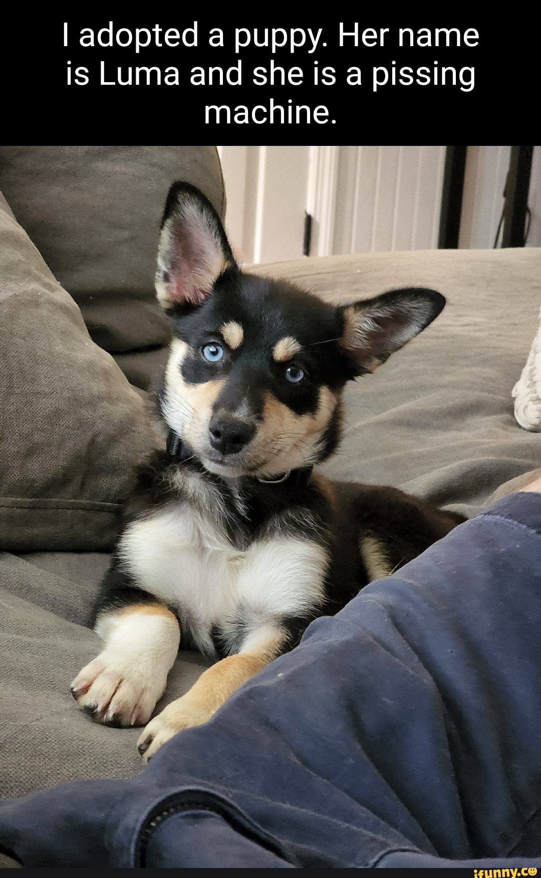 Luma memes. Best Collection of funny Luma pictures on iFunny