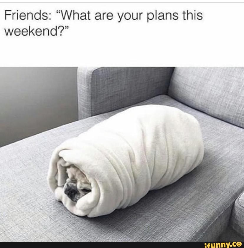 The Return of the Meme (vol. 307) - Friends: "What are your plans this ...