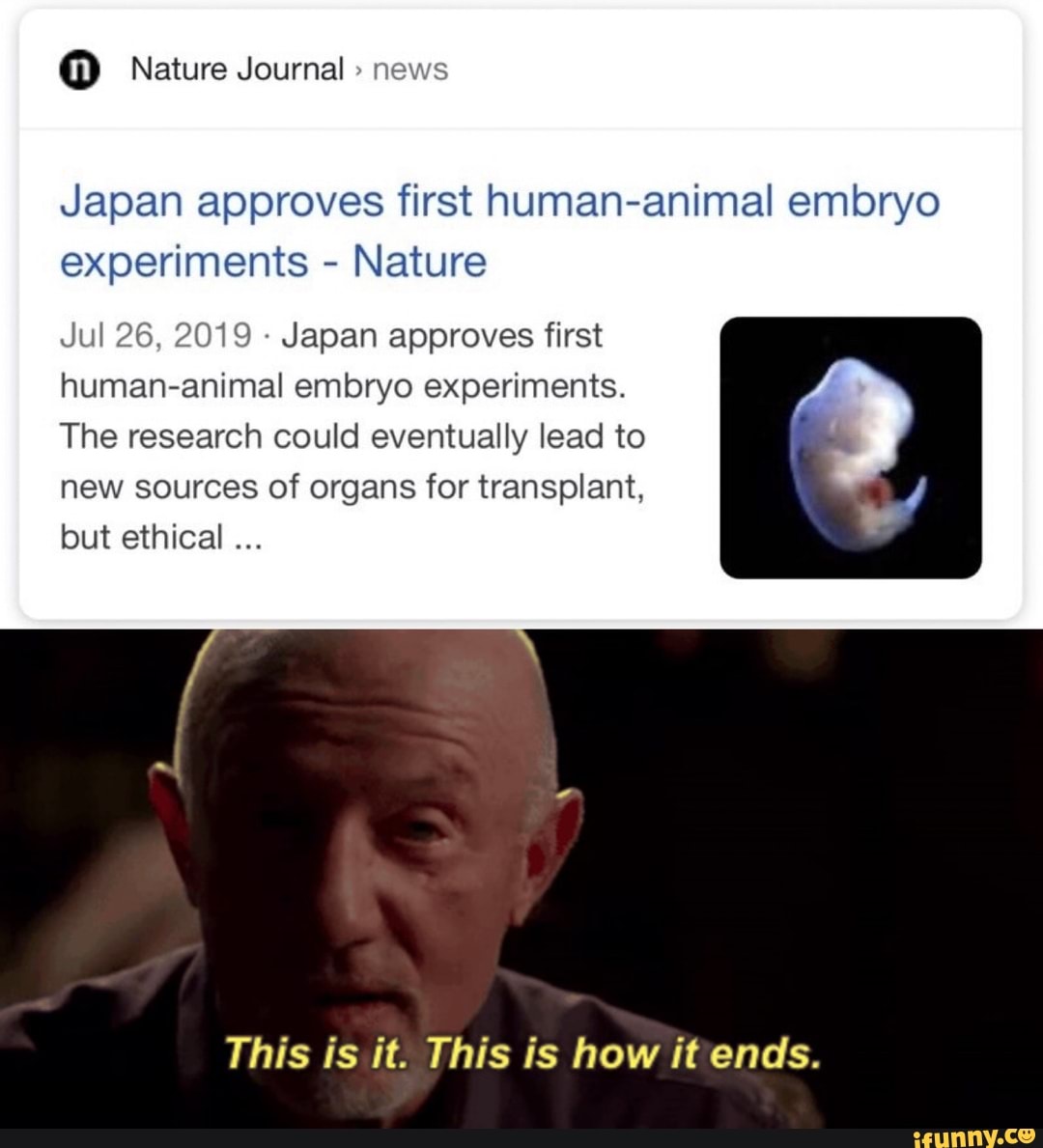 Japan approves first human-animal embryo experiments Nature Jul 26 ...