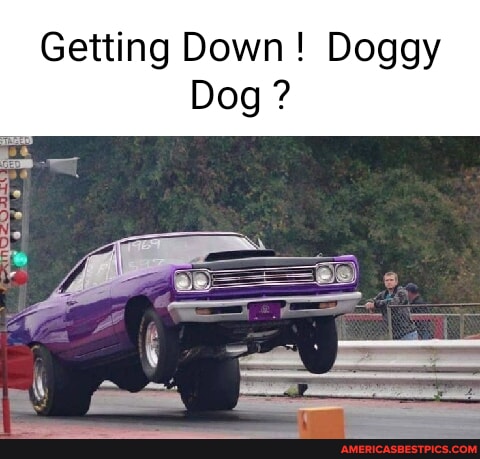 Getting Down! Doggy Dog ? - America’s best pics and videos