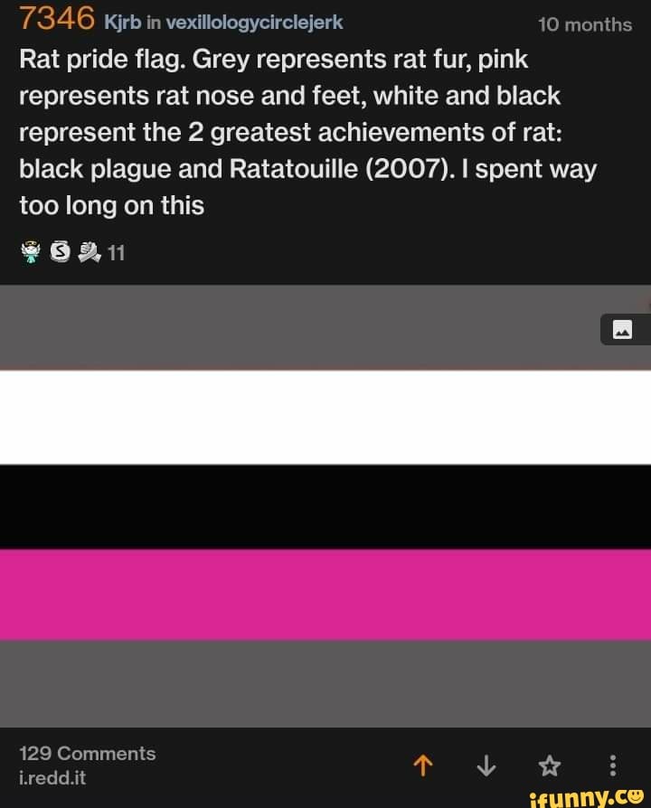 7346 Kjrb in vexillologycirclejerk 10 months Rat pride flag. Grey ...