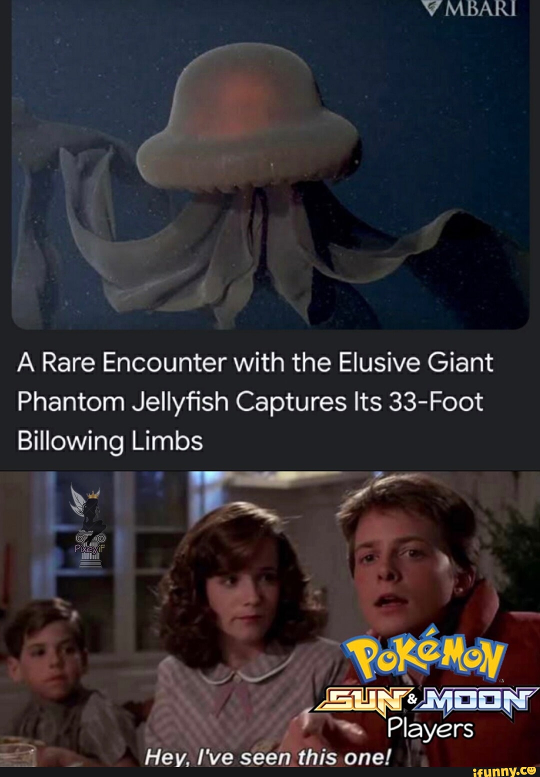 A Rare Encounter with the Elusive Giant Phantom Jellyfish Captures Its ...
