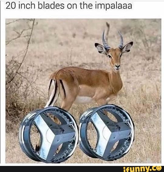 20 inch blades on the impalaaa - iFunny
