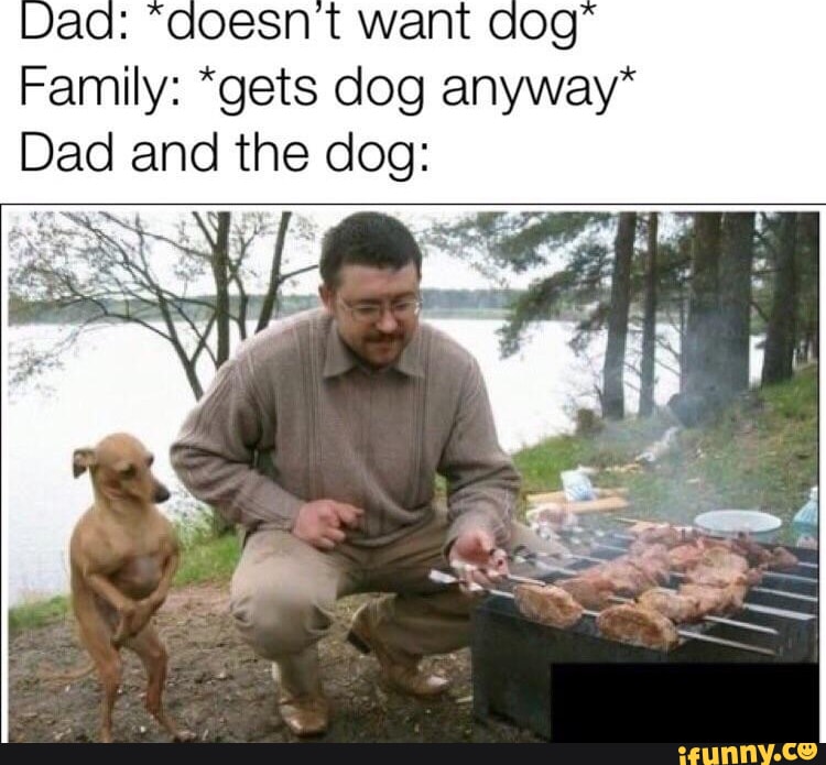 Gog Dad: Want Family: *gets dog anyway* Dad and the dog: - iFunny