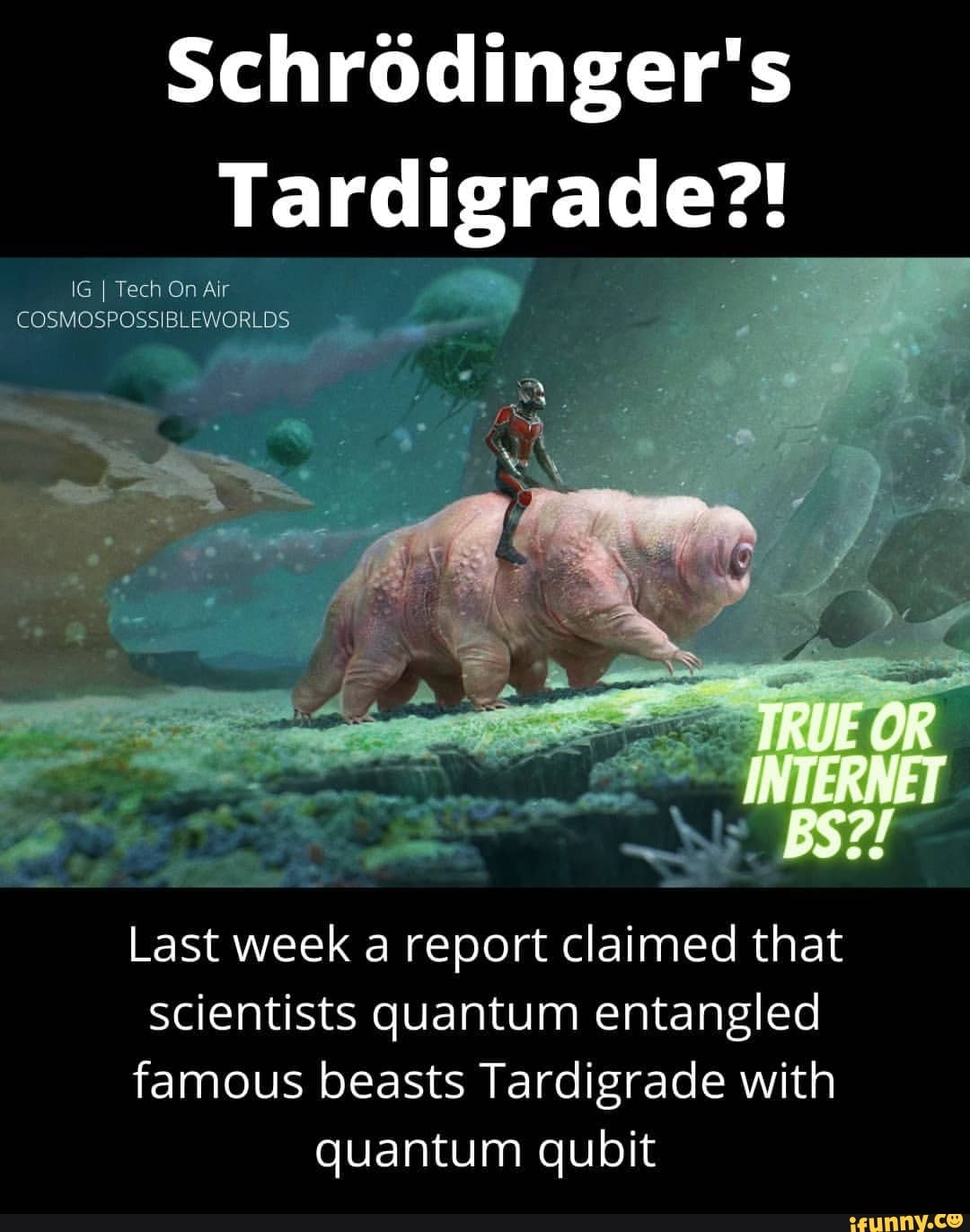 Cosmospossiblev memes. Best Collection of funny Cosmospossiblev ...