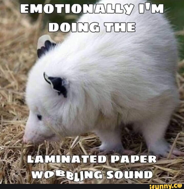 Laminated memes. Best Collection of funny Laminated pictures on iFunny