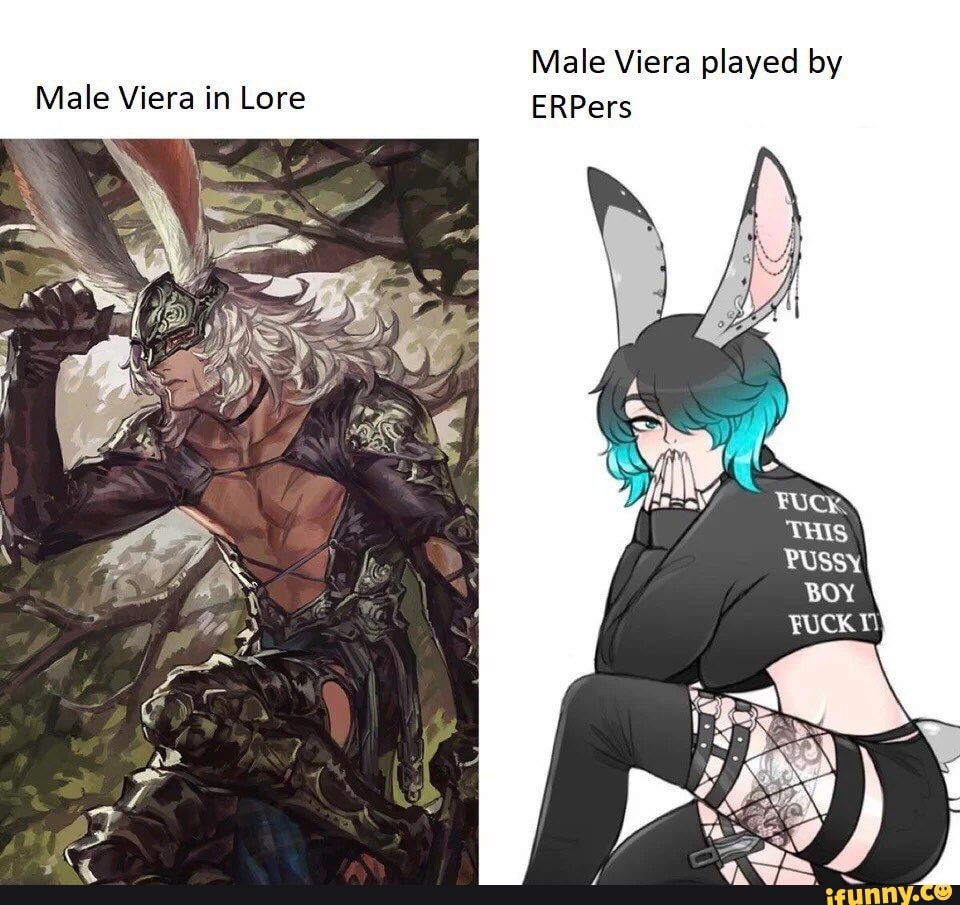 Male Viera played by Male Viera in Lore - iFunny