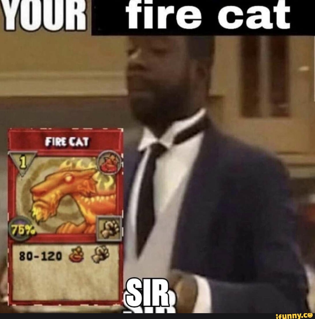 YUUR Tire cat SIR: - iFunny