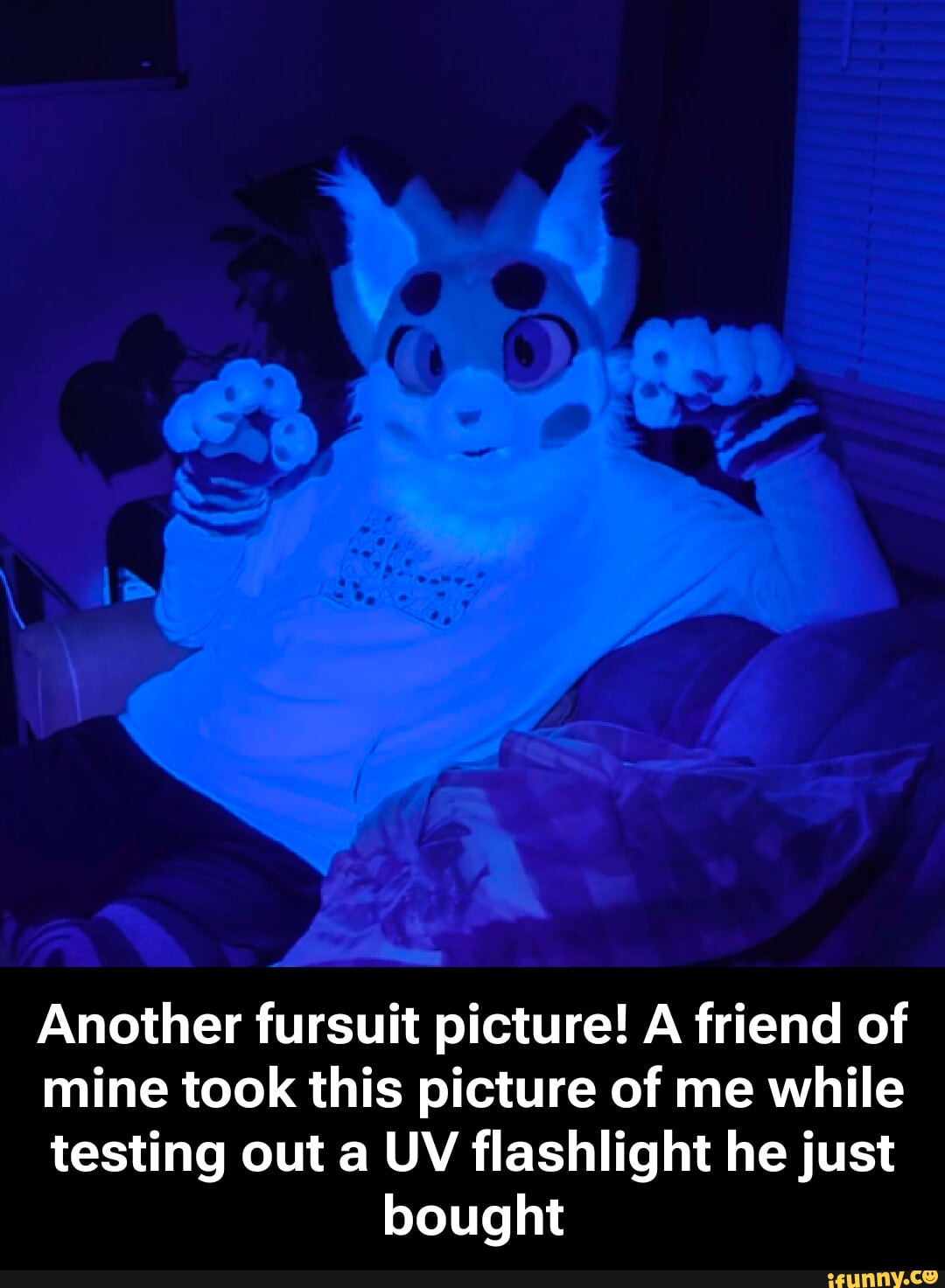 Fursuit memes. Best Collection of funny Fursuit pictures on iFunny
