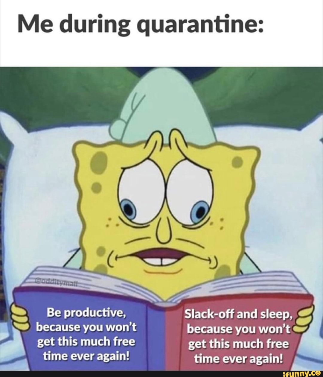 Me during quarantine: Be productive, Slack-off and sleep, E sw because ...