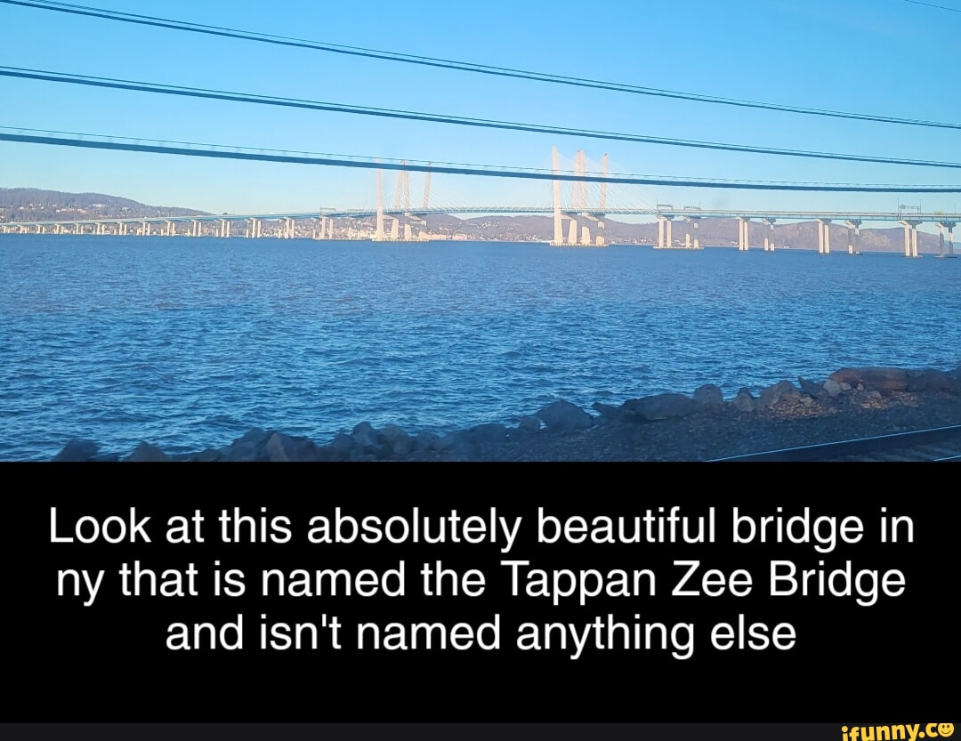 Bridge memes. Best Collection of funny Bridge pictures on iFunny