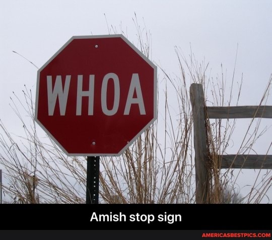 Amish stop sign - Amish stop sign - America’s best pics and videos
