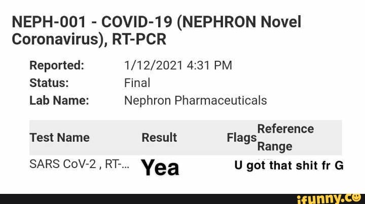 Nephron memes. Best Collection of funny Nephron pictures on iFunny