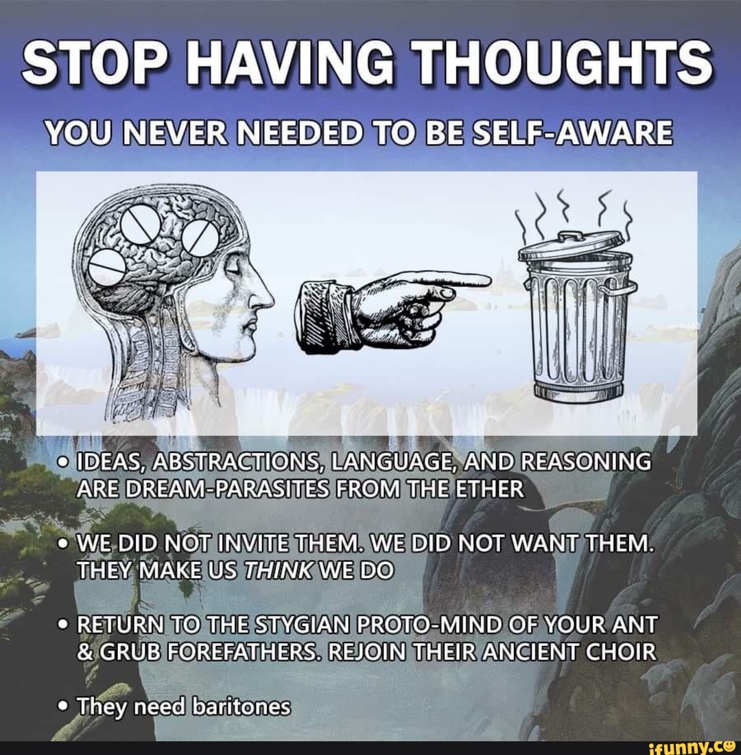 STOP HAVING THOUGHTS YOU NEVER NEEDED TO BE SELF AWARE IDEAS ...