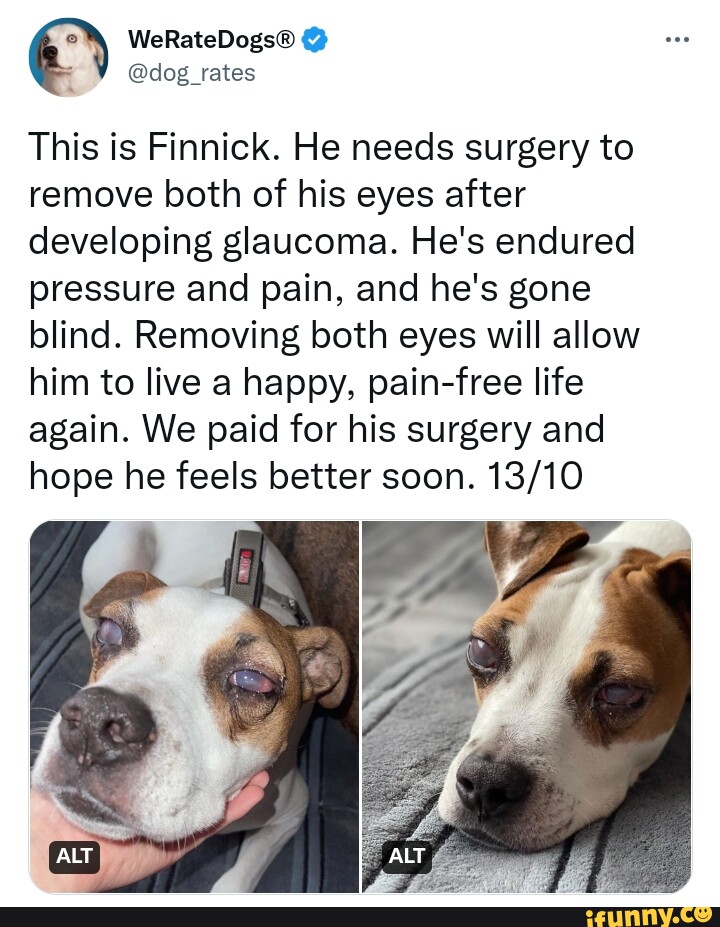 Glaucoma memes. Best Collection of funny Glaucoma pictures on iFunny