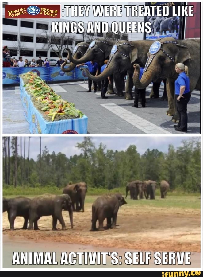 Buffalobill memes. Best Collection of funny Buffalobill pictures on iFunny