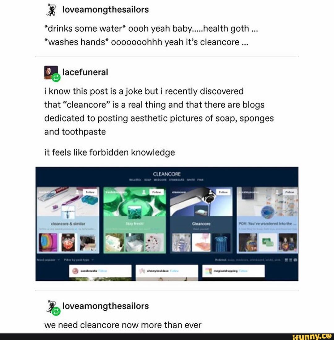 Cleancore memes. Best Collection of funny Cleancore pictures on iFunny