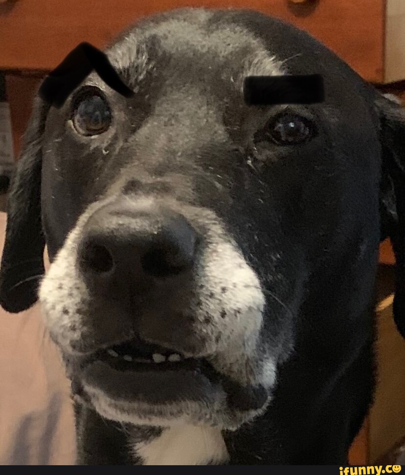 Mhm memes. Best Collection of funny Mhm pictures on iFunny