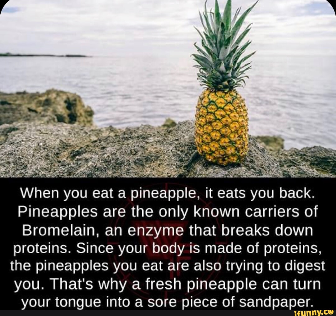 Enzyme memes. Best Collection of funny Enzyme pictures on iFunny