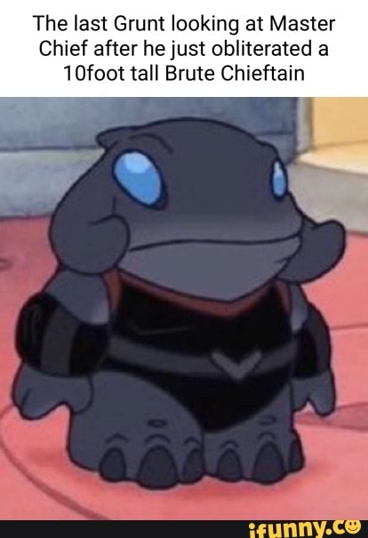 The last Grunt looking at Master Chief after he just obliterated a ...