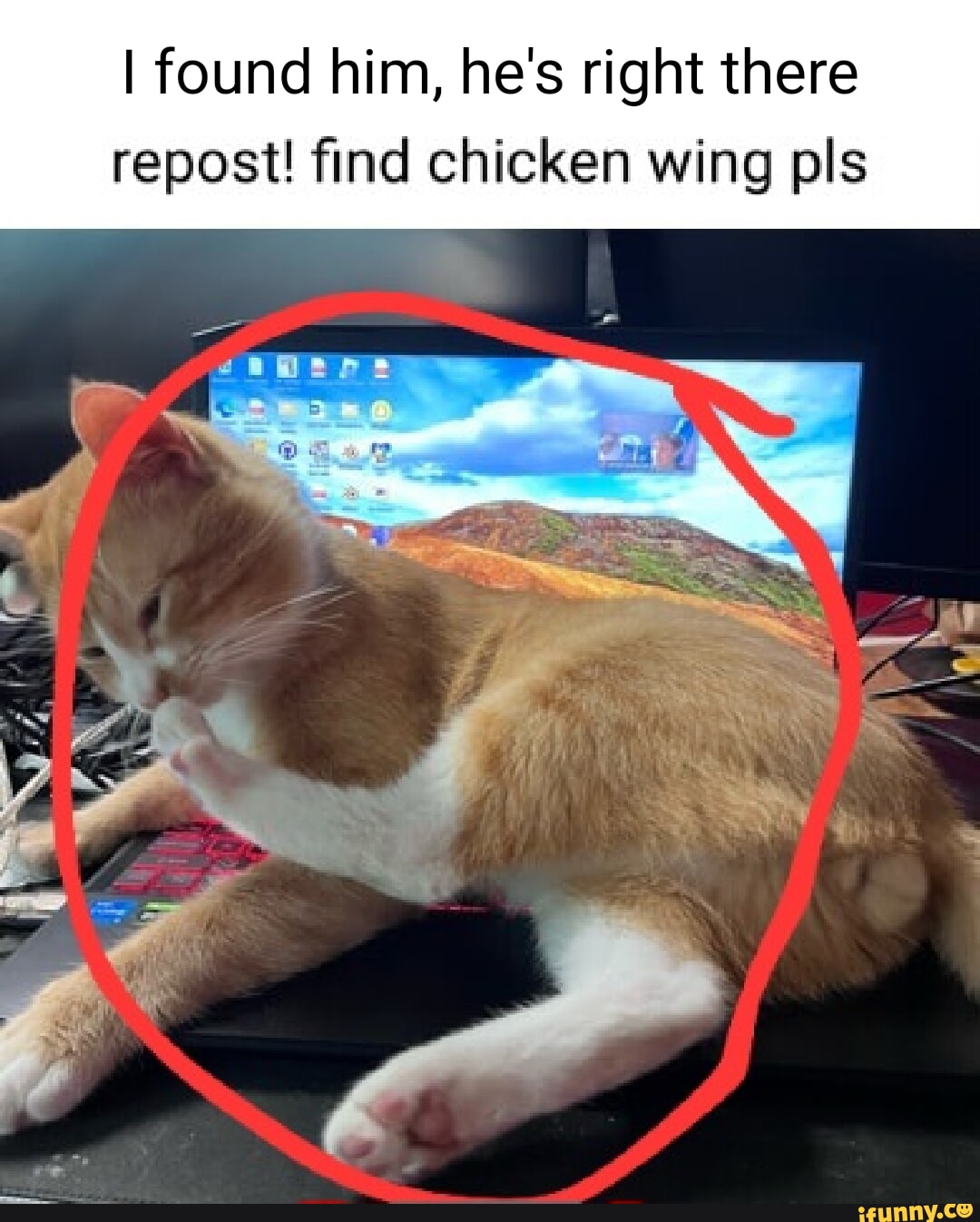 Wing memes. Best Collection of funny Wing pictures on iFunny