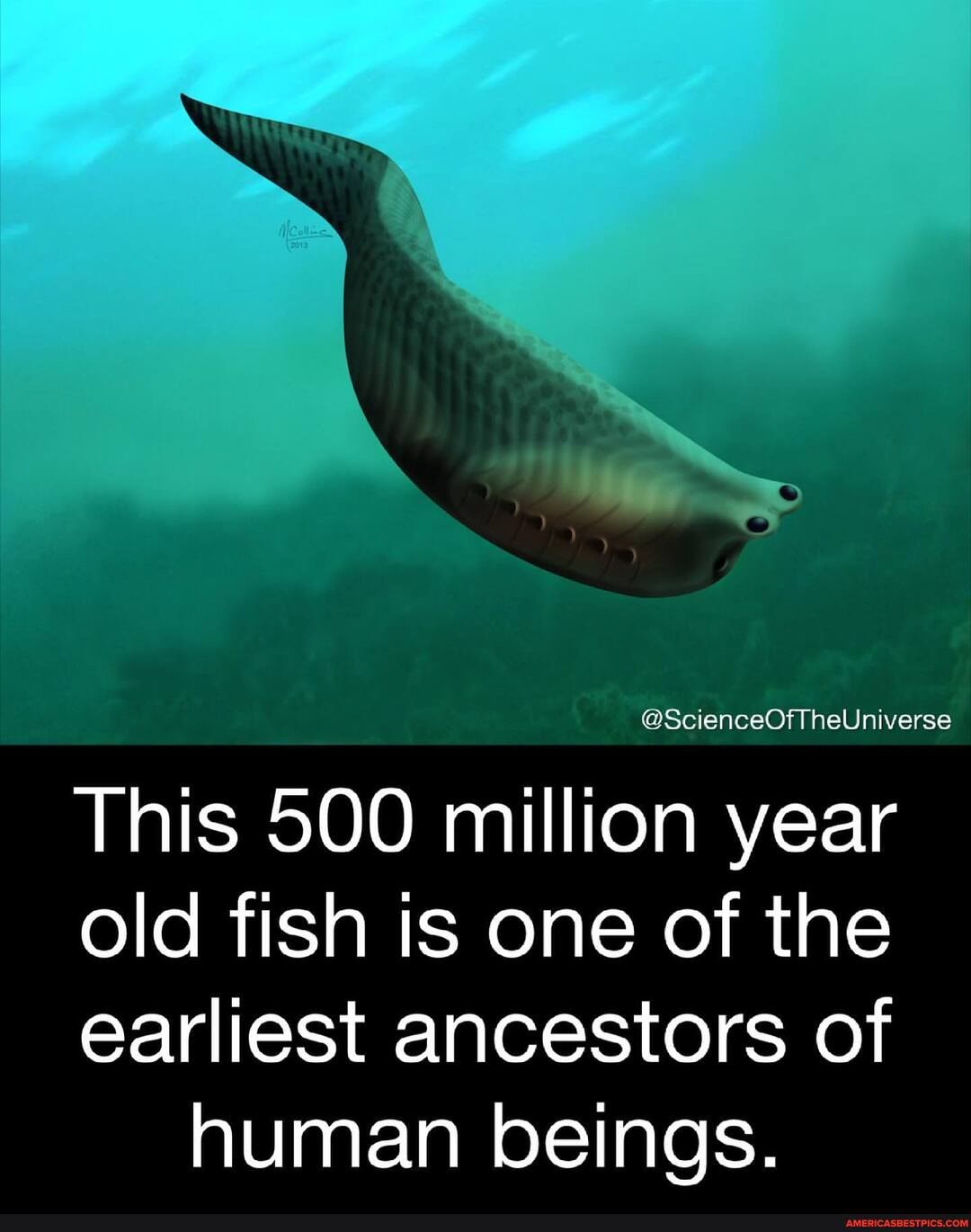 @ScienceOfTheUniverse This 500 million year old fish is one of the ...