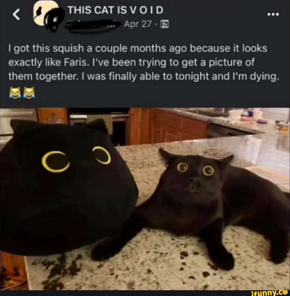 Squish memes. Best Collection of funny Squish pictures on iFunny