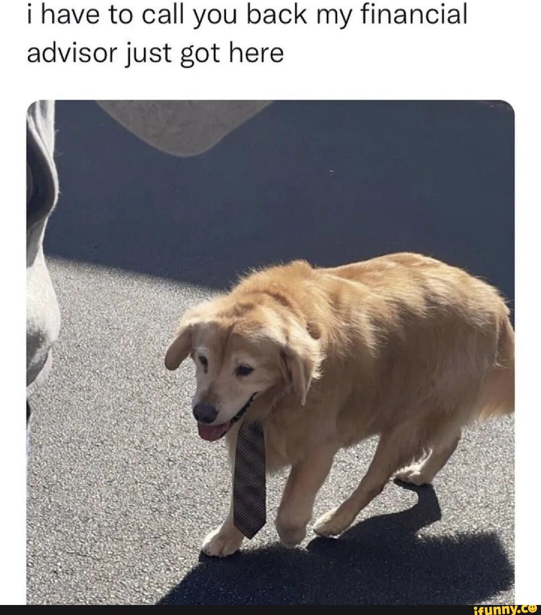 Advisor memes. Best Collection of funny Advisor pictures on iFunny