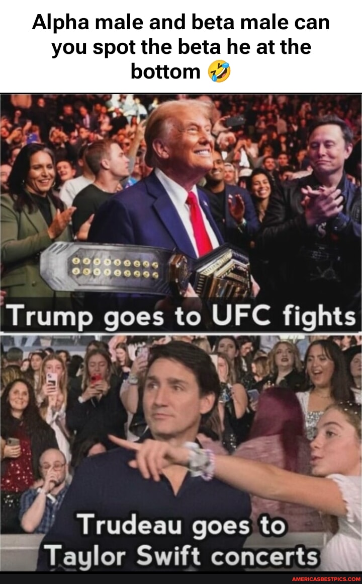 Alpha male and beta male can you spot the beta he at the bottom @ Ri I ...