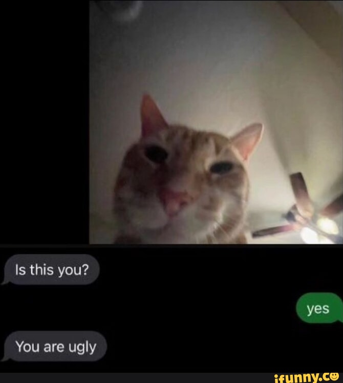 You Ugly Meme