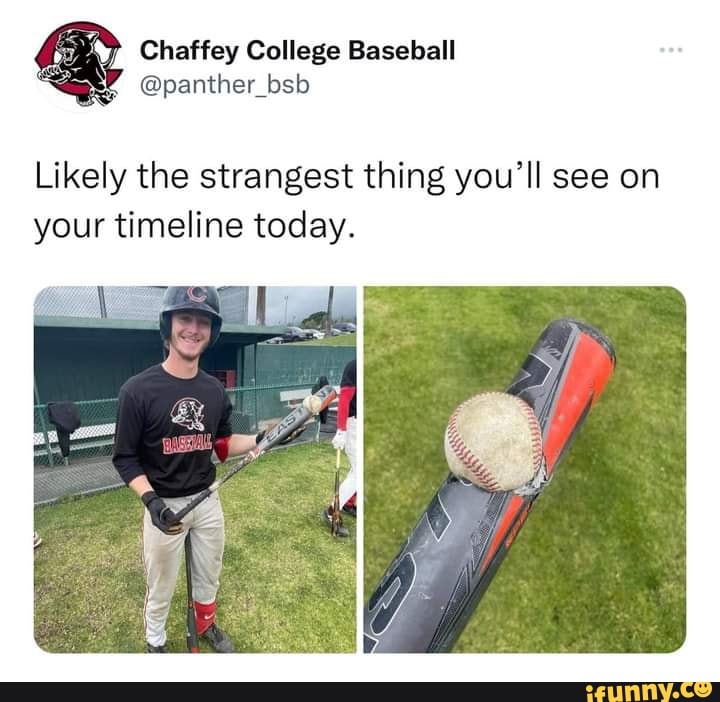 Chaffey memes. Best Collection of funny Chaffey pictures on iFunny
