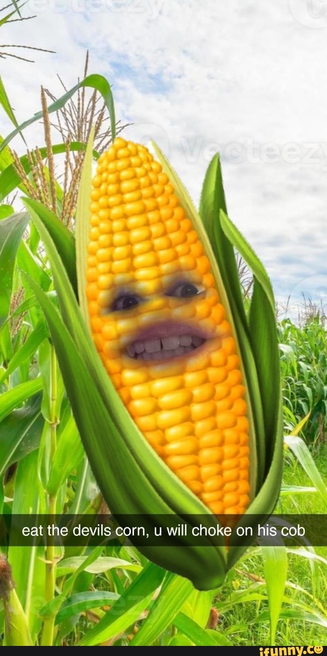 Puns & Dad Jokes memes memes. The best memes on iFunny