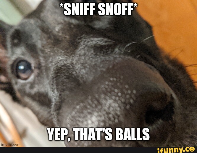 Snoff memes. Best Collection of funny Snoff pictures on iFunny