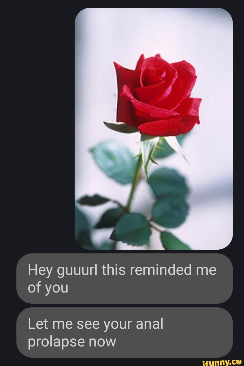 Guuurl memes. Best Collection of funny Guuurl pictures on iFunny