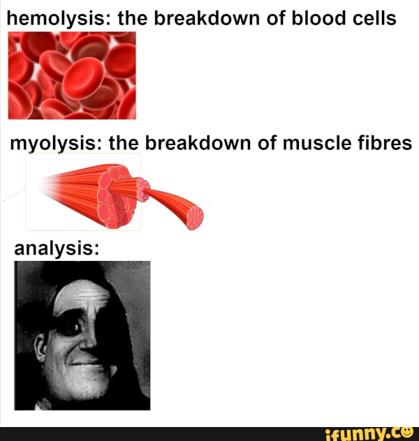 Hemolysis: the breakdown of blood cells myolysis: the breakdown of ...