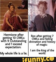 HP meme w/ Ron vs Hermione - HP meme w/ Ron vs Hermione Ron after ...