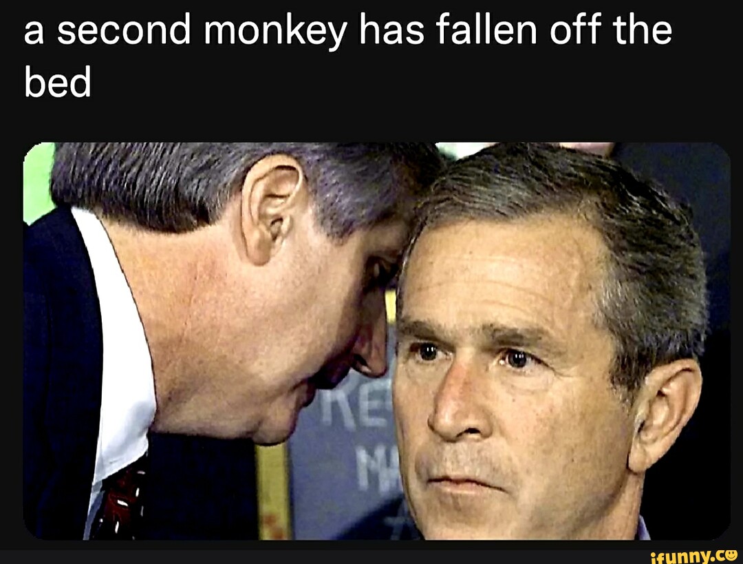 A second monkey has fallen off the bed - iFunny A second monkey has fallen off the bed - iFunny