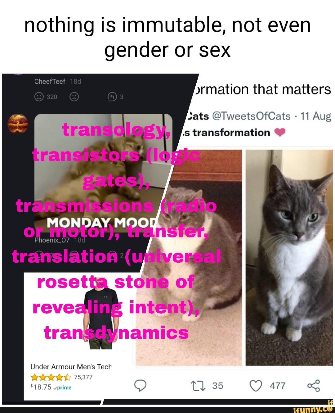 Phoe memes. Best Collection of funny Phoe pictures on iFunny