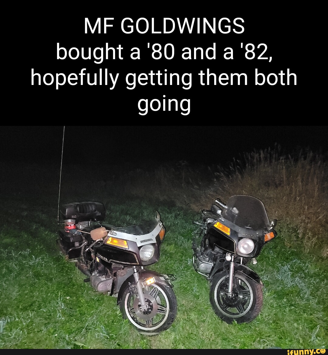Goldwing memes. Best Collection of funny Goldwing pictures on iFunny