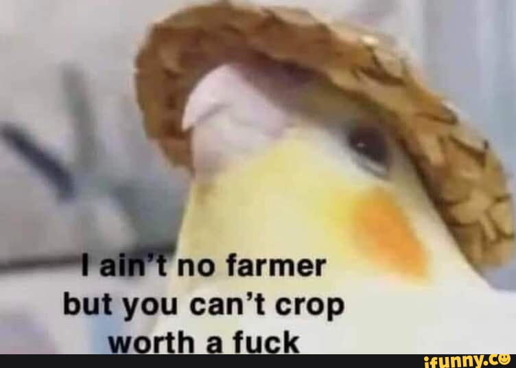 Crop memes. Best Collection of funny Crop pictures on iFunny