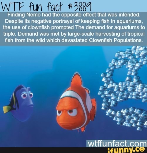 WTF fun _fact Finding Nemo had the opposite effect that was intended ...