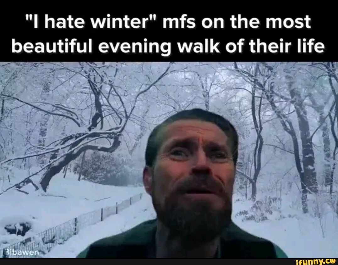 "I hate winter" mfs on the most beautiful evening walk of their life - iFunny