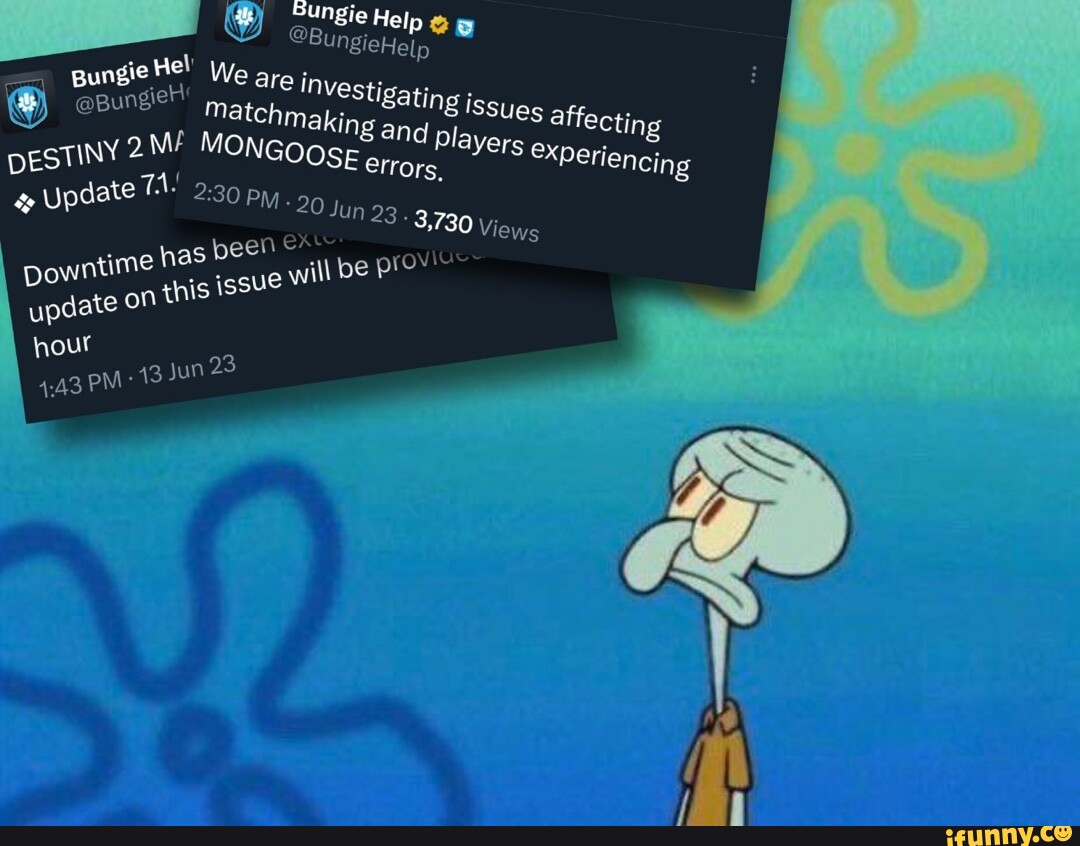 Mongoose memes. Best Collection of funny Mongoose pictures on iFunny