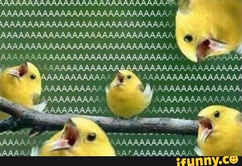 Aaaaaaaaaaaaaaaaaaaaaaaaaaaaaaaaaaaaaaaaaaaaaaaaaaaaaaaaaaaaaaaaaaaaaaa ...