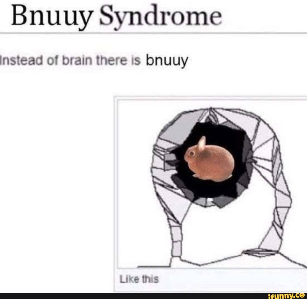 Bnuuy memes. Best Collection of funny Bnuuy pictures on iFunny